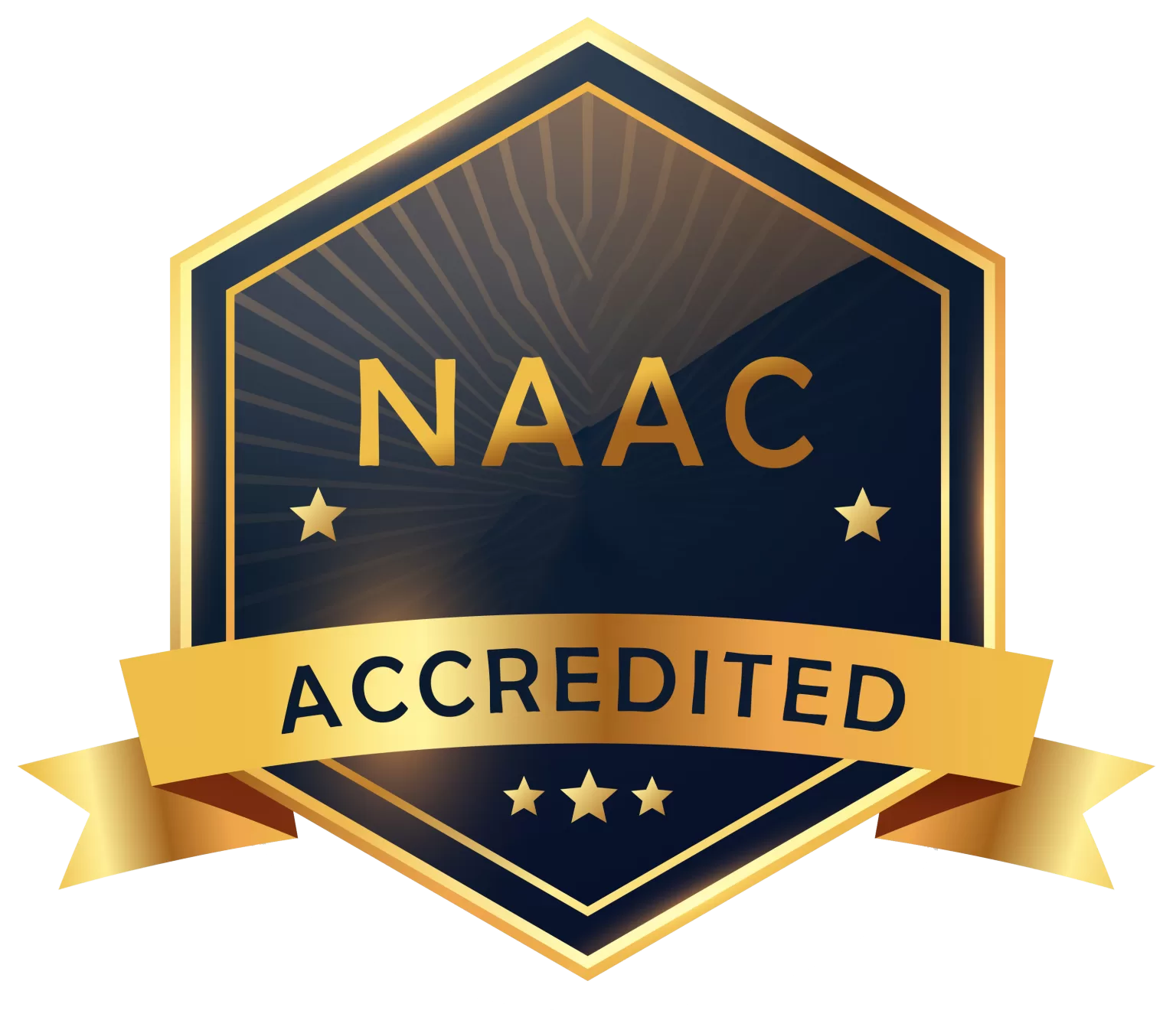 FACULTY – Shri Sai Parankar Sanstha's